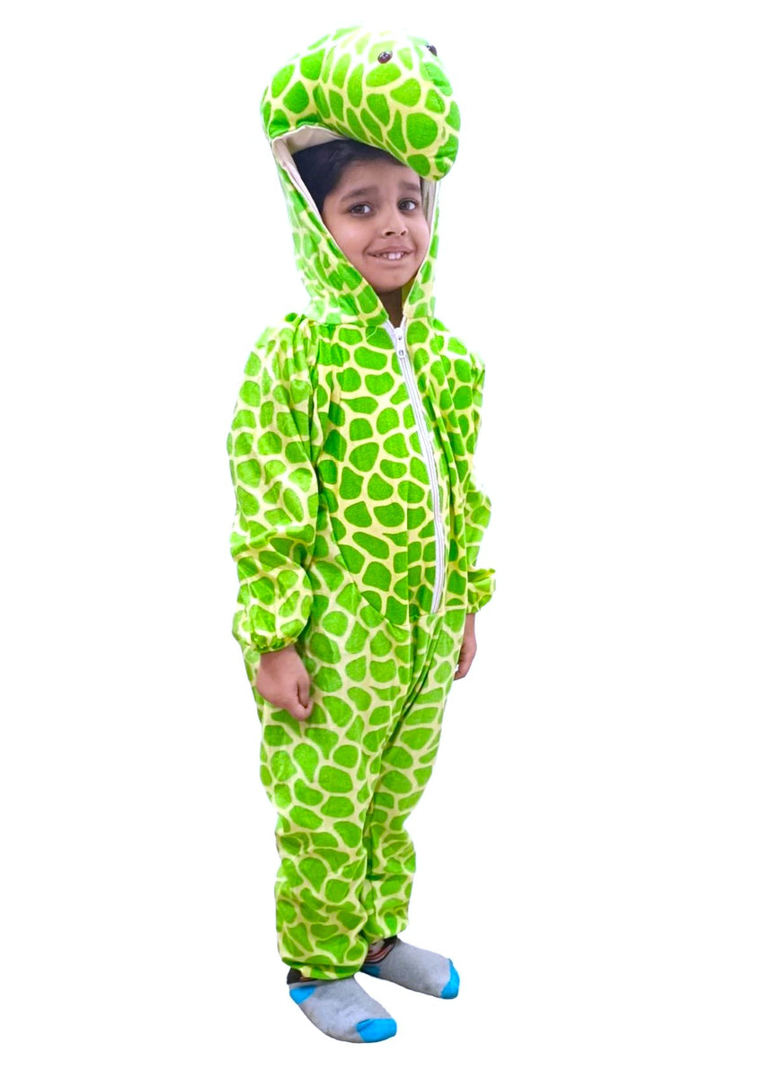 Rent or Buy Tortoise Reptile Kids Fancy Dress Costume Online in India ...