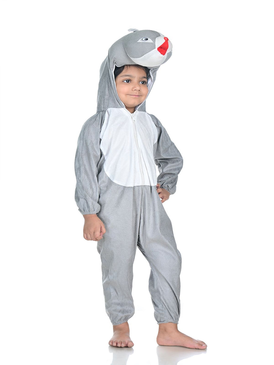 Squirrel Animal Kids Fancy Dress Costume – BookMyCostume