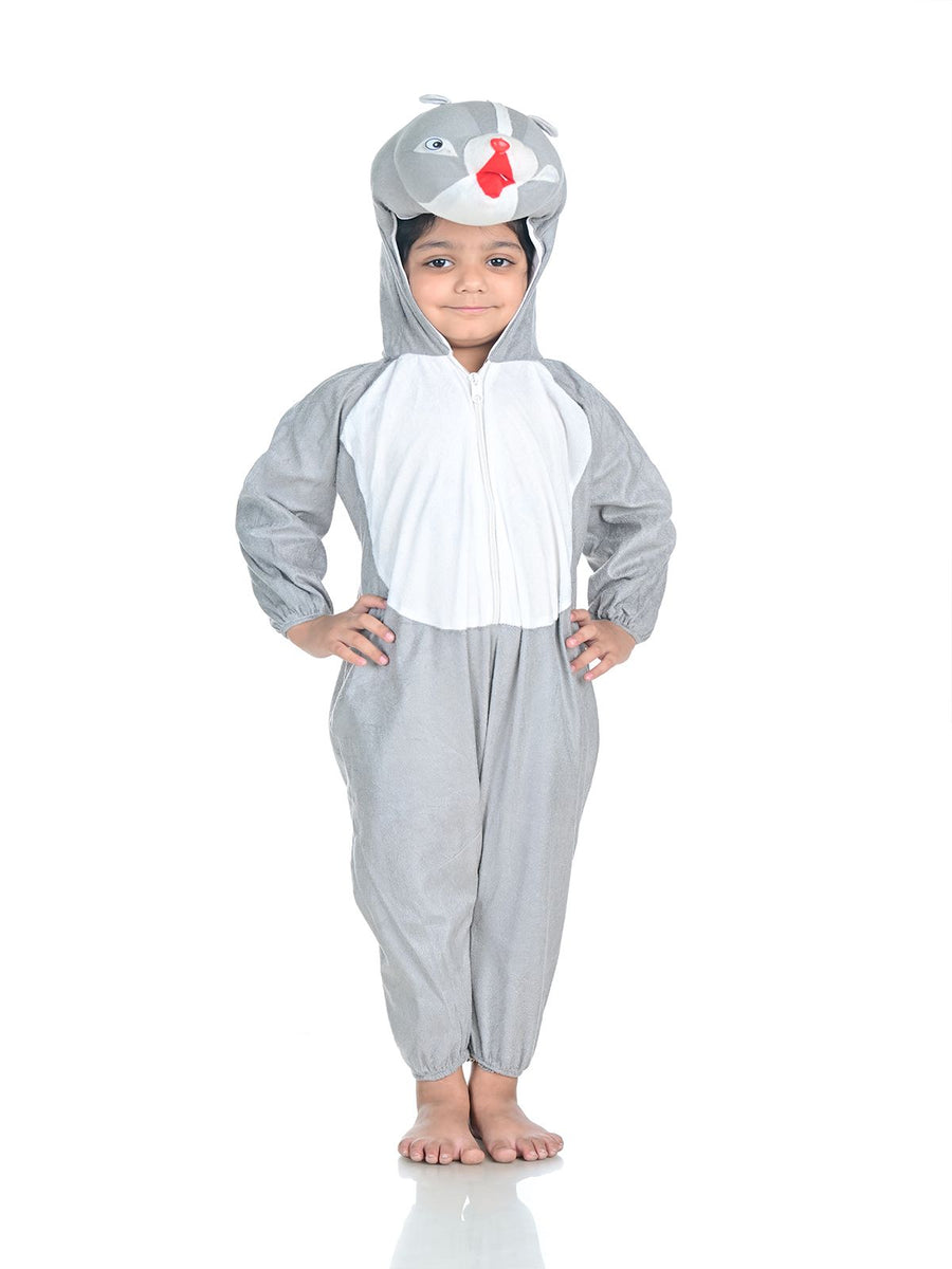 Squirrel Animal Kids Fancy Dress Costume – BookMyCostume