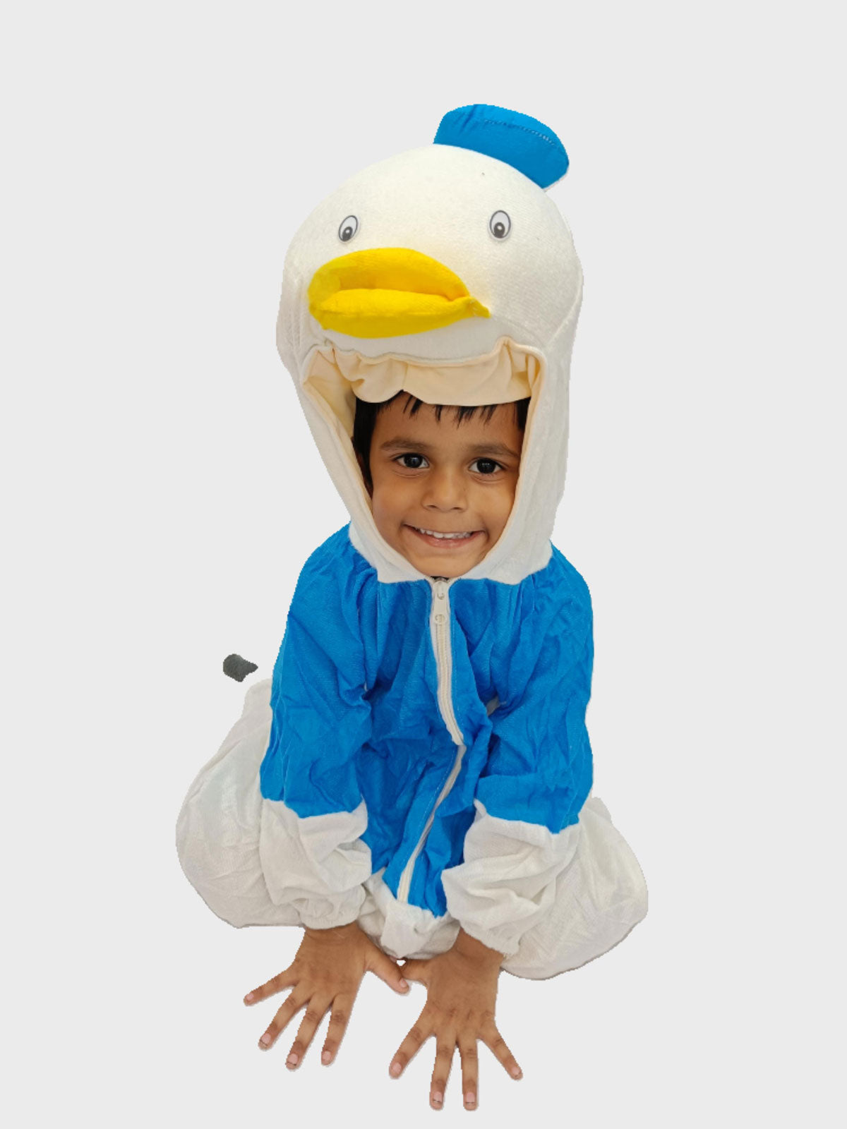 Donald duck costume store
