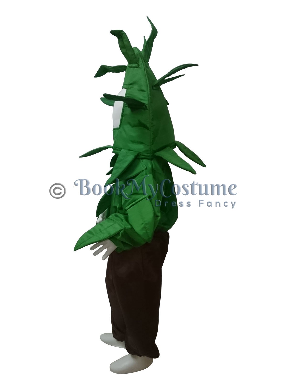 Rent or Buy Green Brown Tree Kids Fancy Dress Costume Online in India