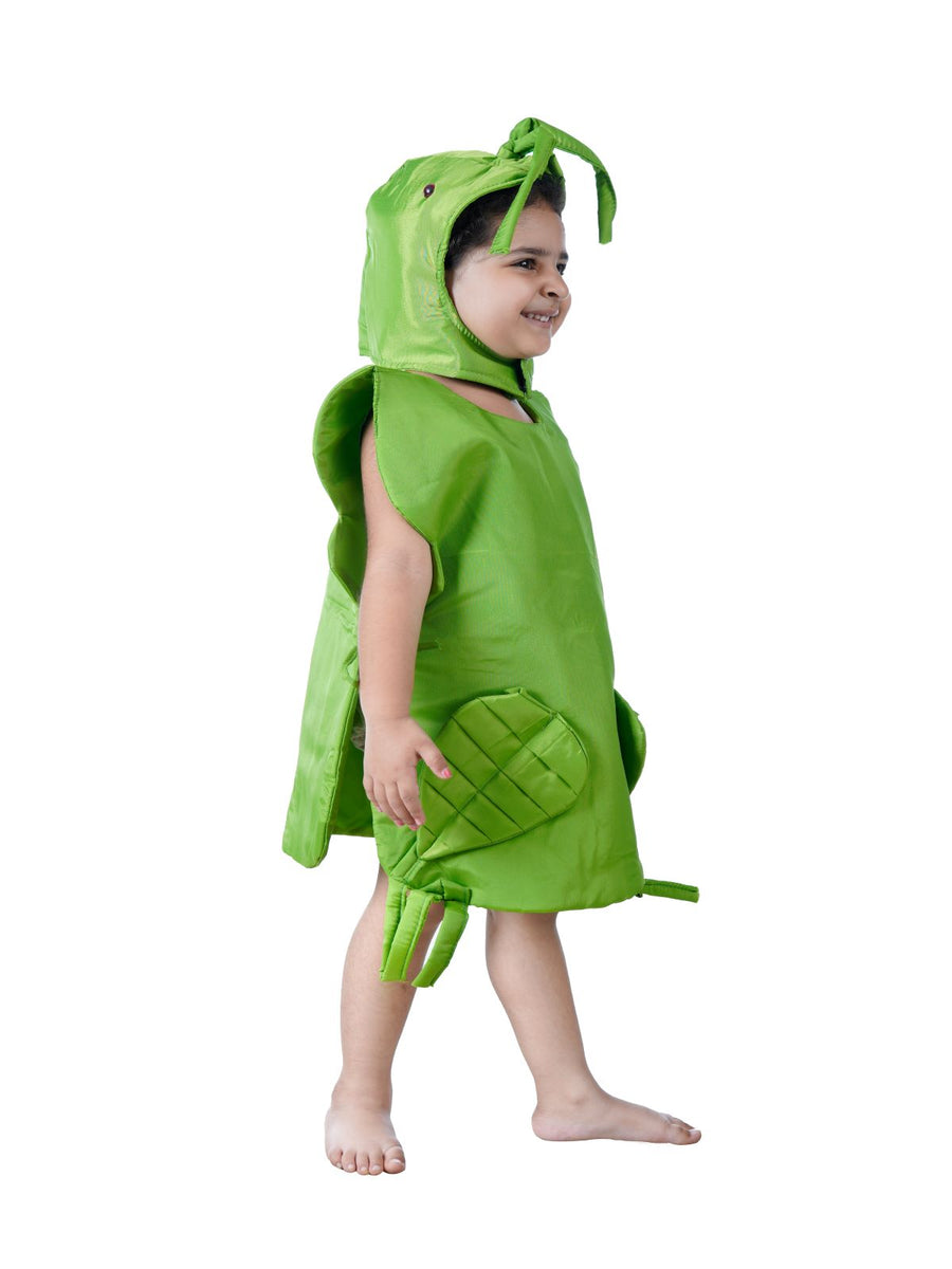 Rent Buy Caterpillar Insect Kids Fancy Dress Costume Online in India ...