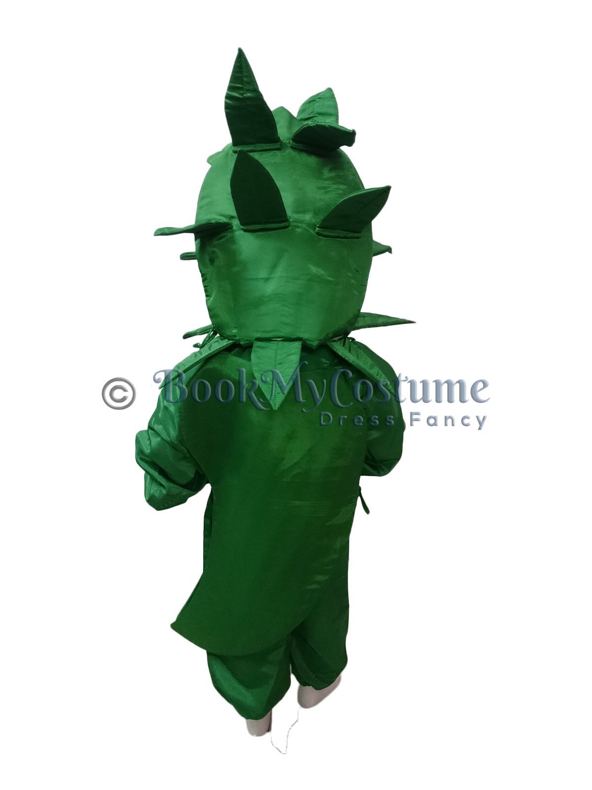 Rent Buy Green Chilli Vegetable Kids Fancy Dress Costume Online India