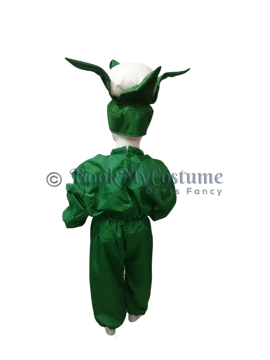 Rent Buy Cauliflower Vegetable Kids Fancy Dress Costume Online India ...