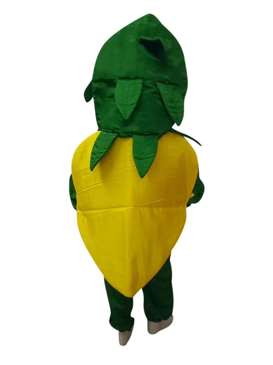 Rent or Buy Lemon Nibu Fruit Fancy Dress Costume Online in India ...